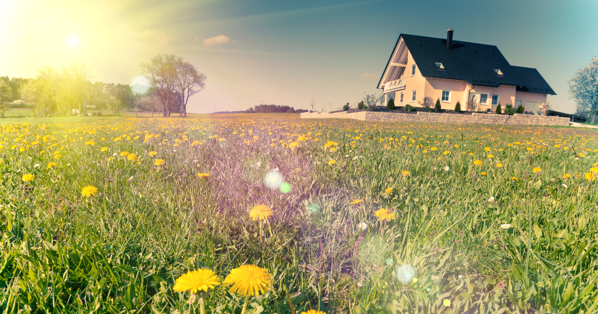 Fireplace Updates for Spring